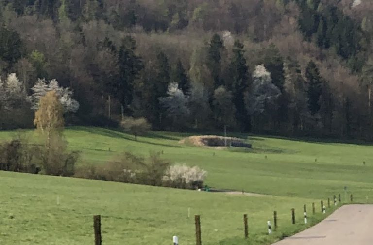 Yet another Swiss shooting range - Ken Ritley