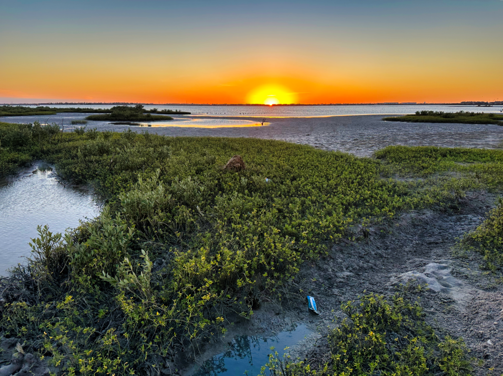 Sunset over Corpus Christi - Ken Ritley